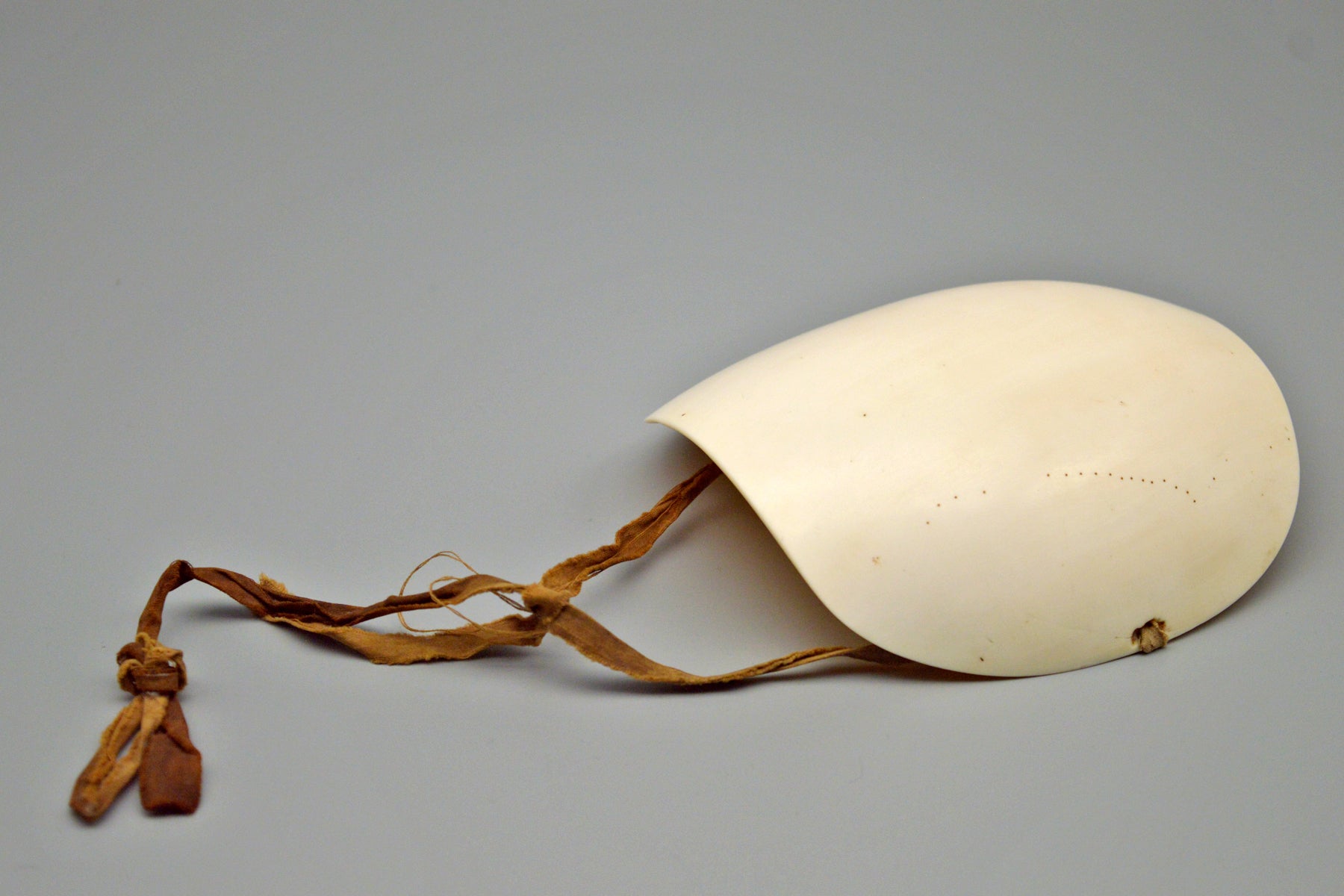 Shell Papua New Guinea – sisi tatu